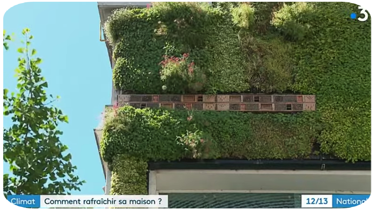 Comment rafraîchir les villes et les maisons tout en restant écologique ...